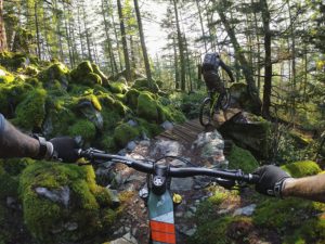 Best Touring Bike Kickstands & Everything You Need To Know