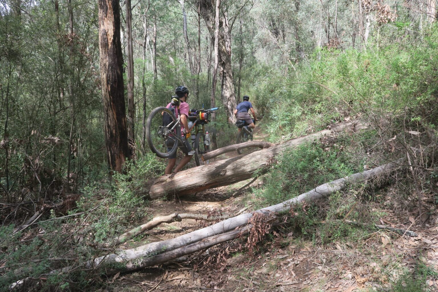 Ultimate Guide to Swept Back Handlebars: The Most Comfortable MTB ...