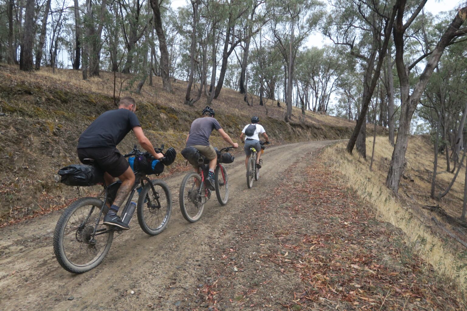 Ultimate Guide to Swept Back Handlebars: The Most Comfortable MTB ...